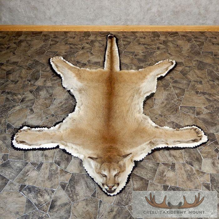 Mountain Lion Full Size Taxidermy Rug Mount For Sale - Creel Taxidermy