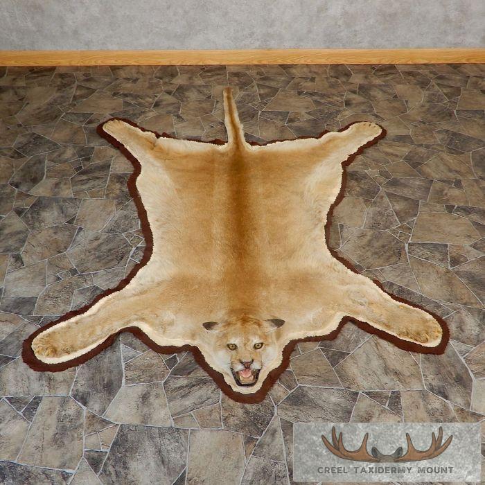 Mountain Lion Full Size Taxidermy Rug Mount For Sale - Creel Taxidermy