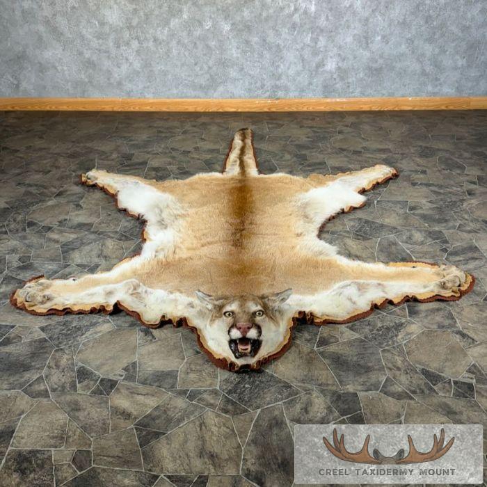 Mountain Lion (Cougar) Full Size Rug For Sale - Creel Taxidermy