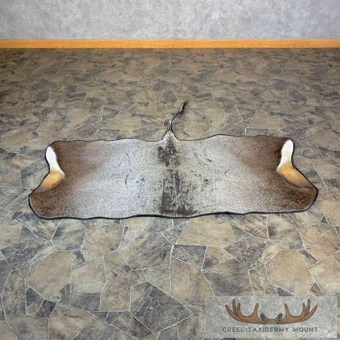 Nilgai Antelope Rug For Sale - Creel Taxidermy