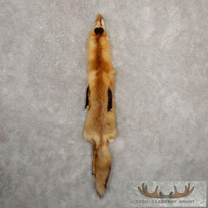 Red Fox Tanned Hide For Sale - Creel Taxidermy