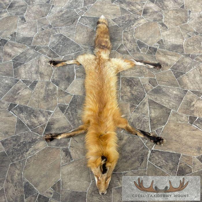 Red Fox Tanned Hide Taxidermy For Sale - Creel Taxidermy