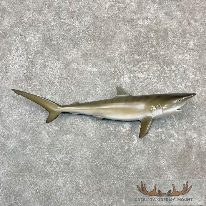 Reproduction Shortfin Mako Shark Taxidermy Mount For Sale - Creel Taxidermy