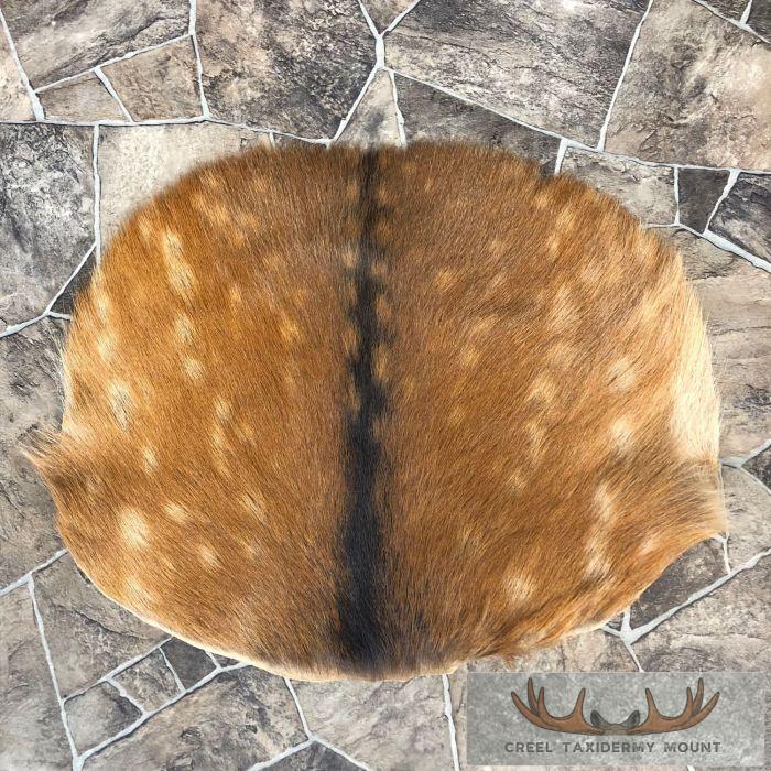 Sika Deer Back Hide Taxidermy Tanned Skin For Sale - Creel Taxidermy