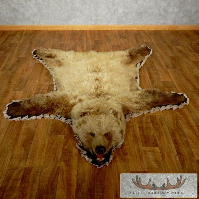 Toklat Grizzly Bear Full Size Taxidermy Rug Mount For Sale - Creel ...