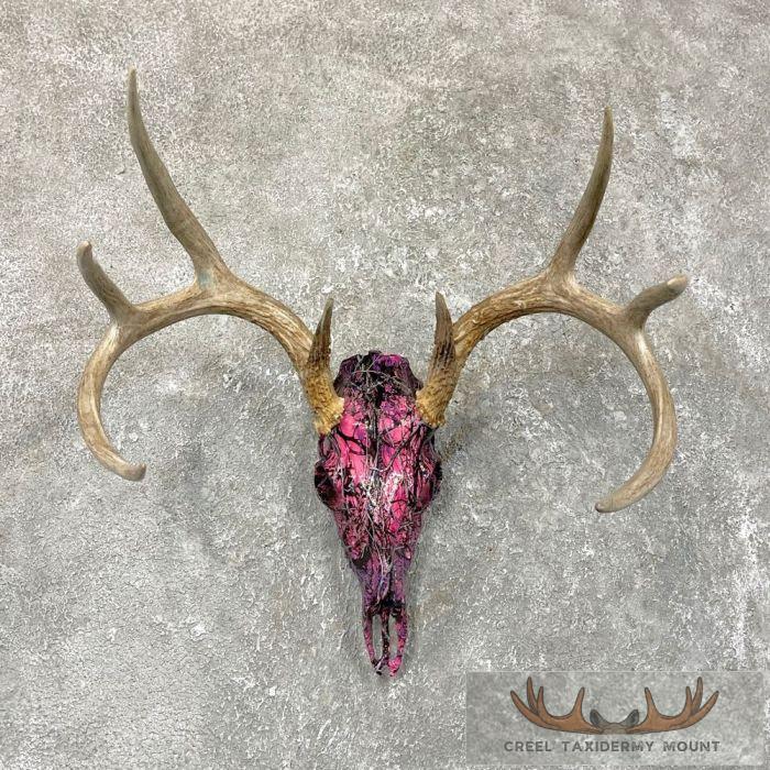 Whitetail Deer Skull Dipped Taxidermy Mount For Sale - Creel Taxidermy